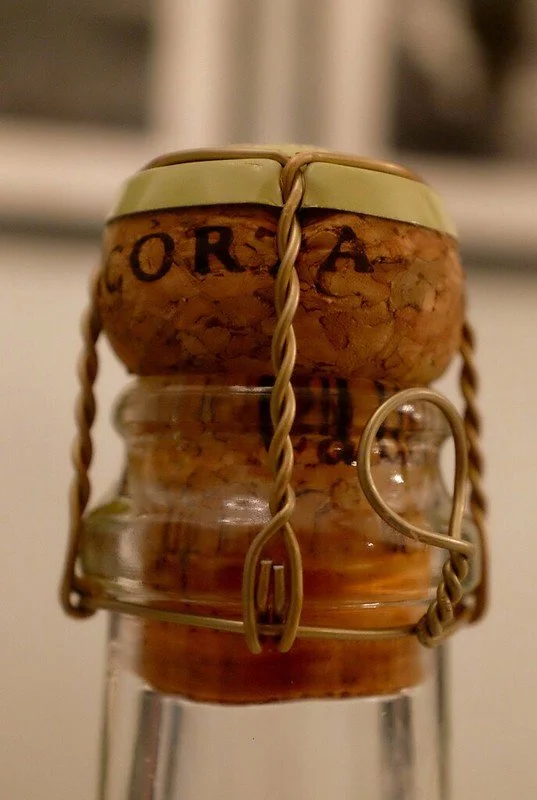 15 Fun Champagne Facts — tèr·ra·ve·nos