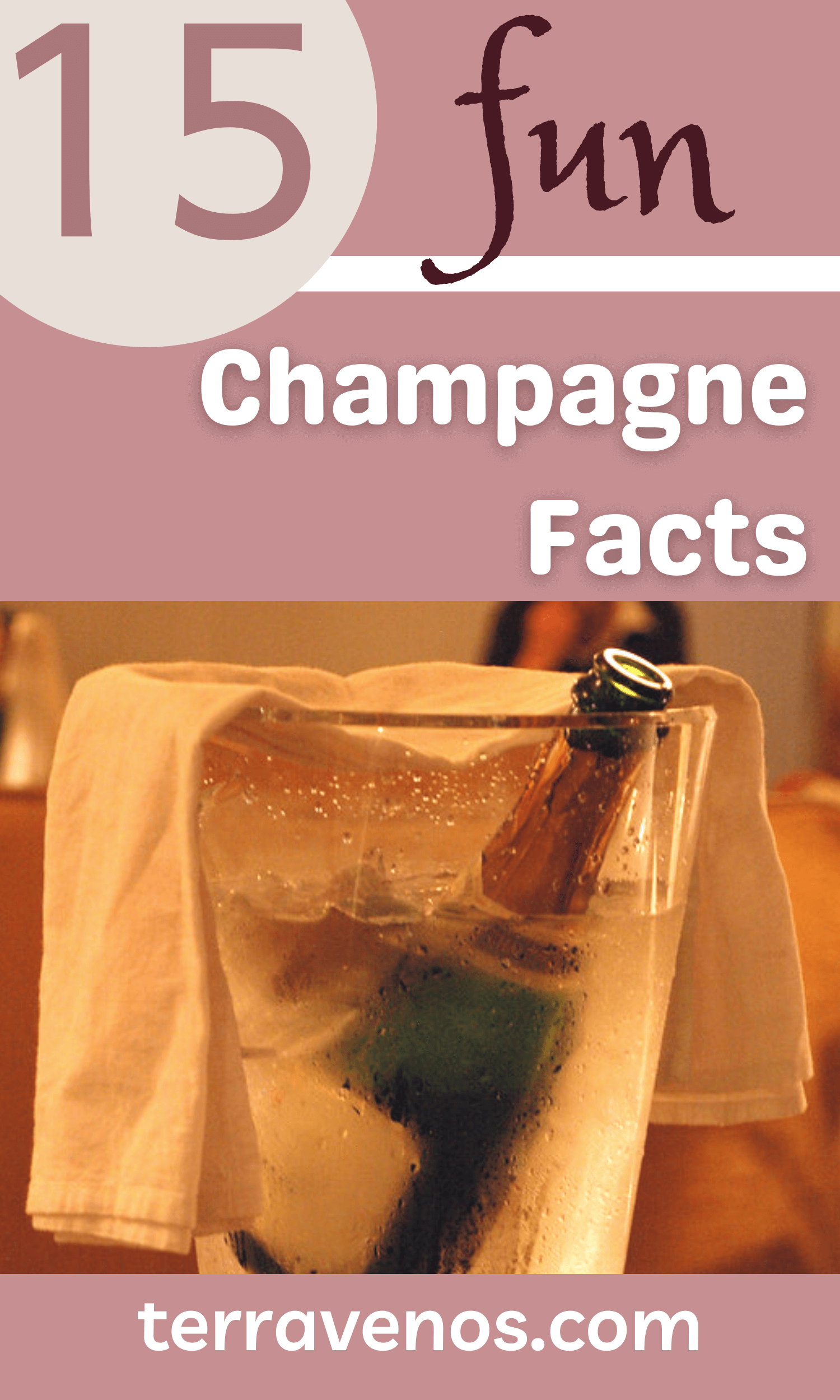 15 Fun Champagne Facts — tèr·ra·ve·nos