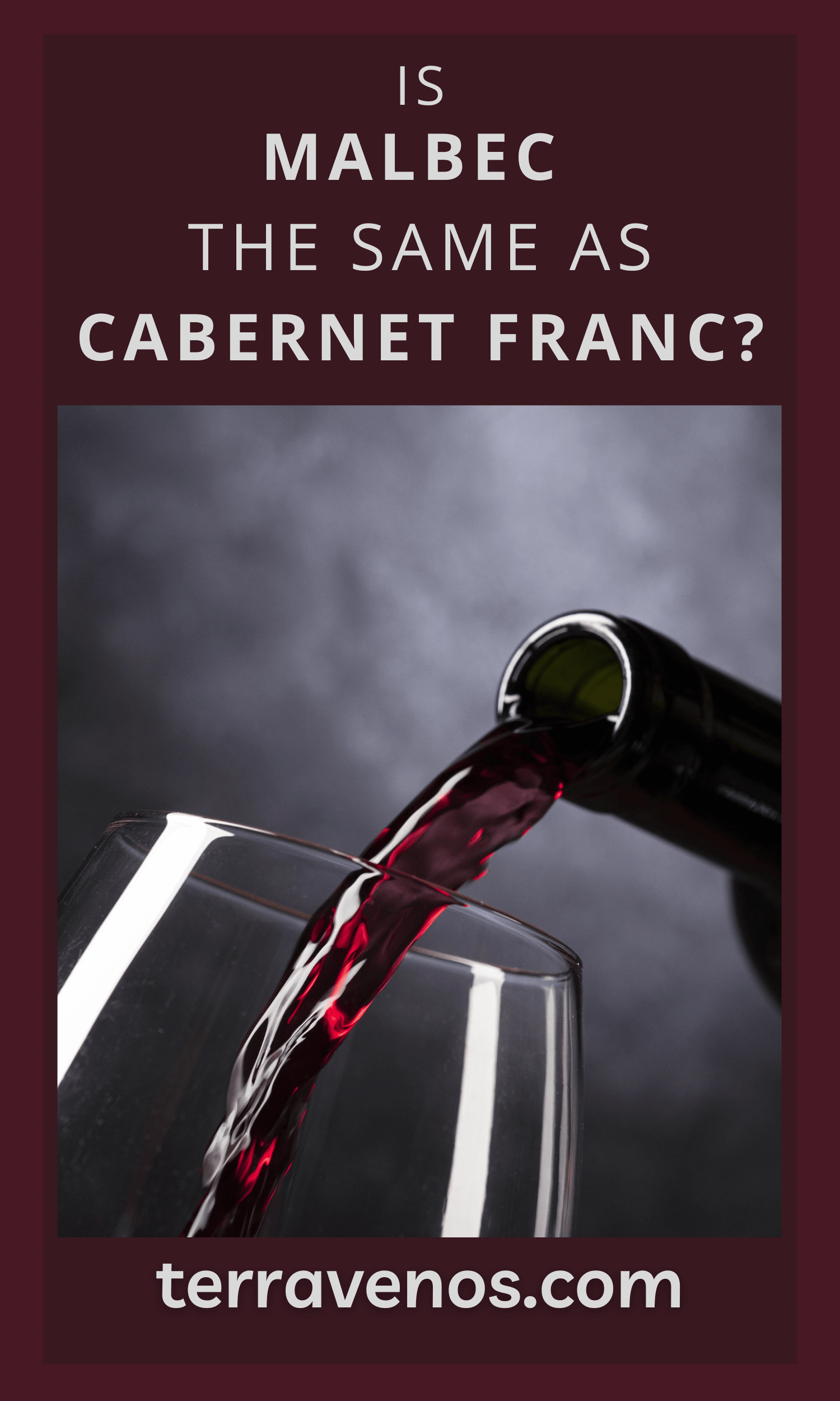 Malbec Wine — tèr·ra·ve·nos