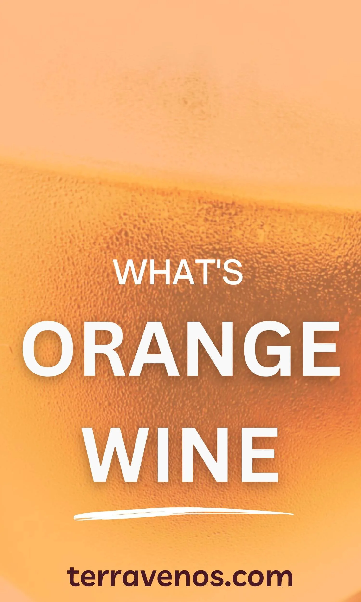 What Order to Taste Wines — tèr·ra·ve·nos