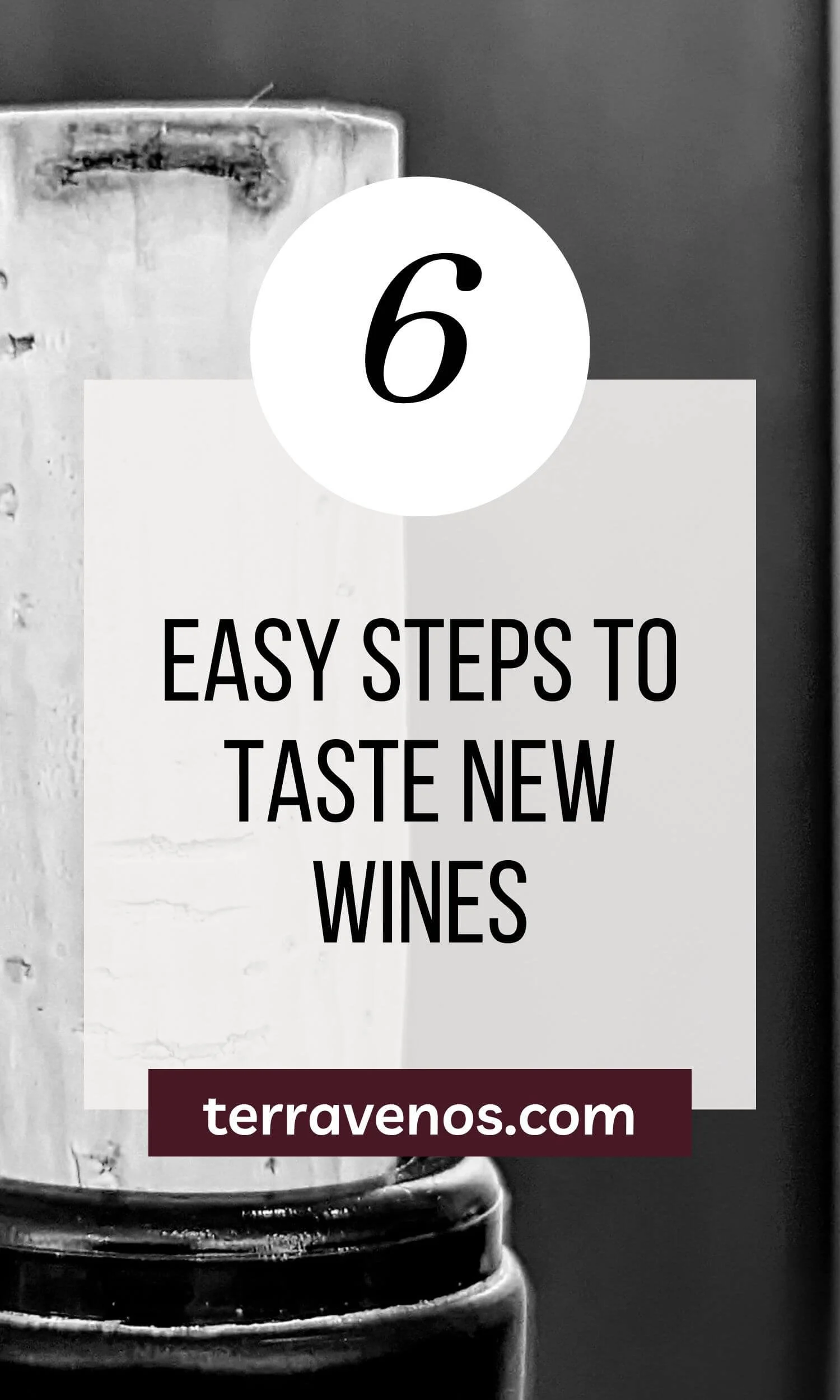 6 Steps to Taste Unfamiliar Wines — tèr·ra·ve·nos