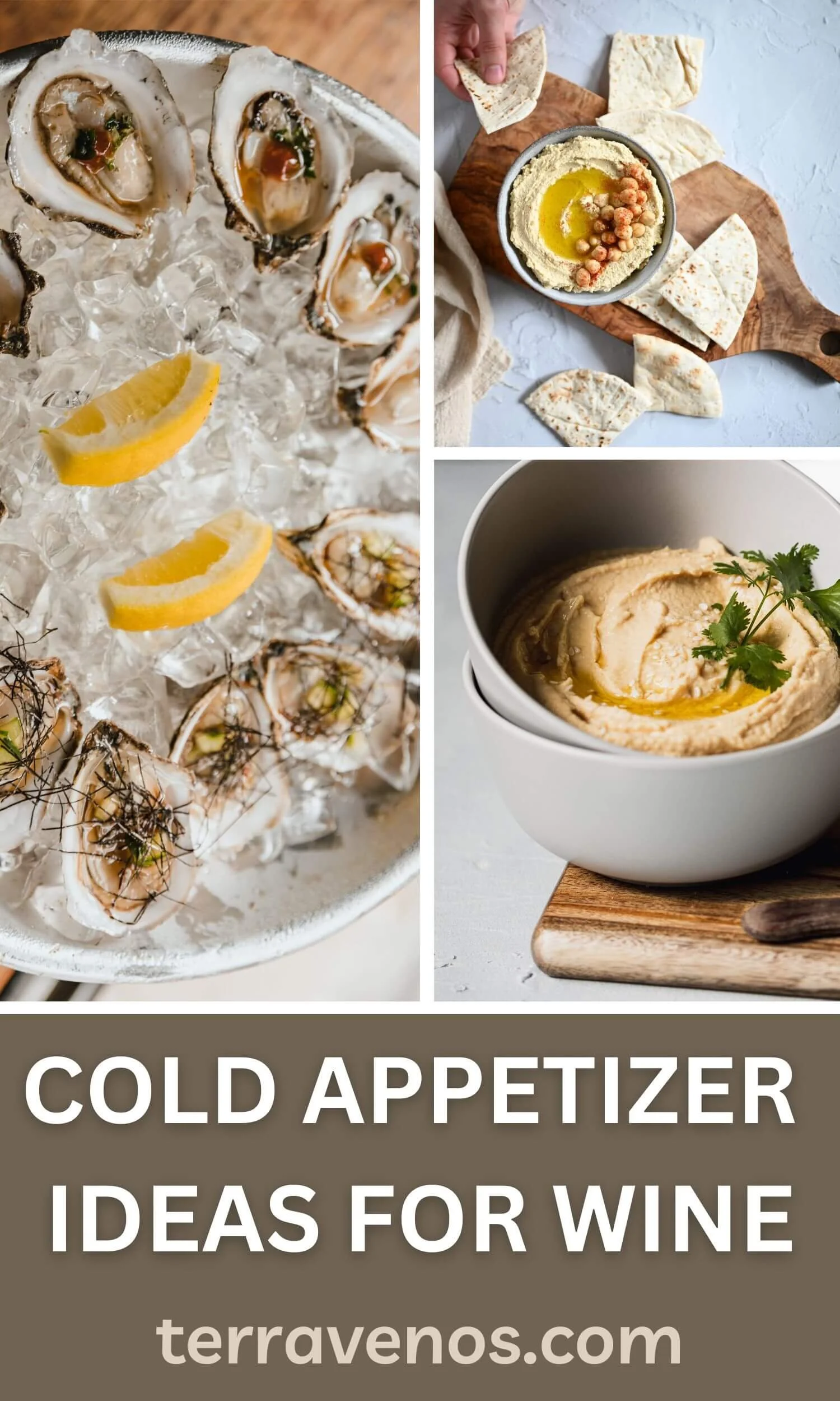 Appetizer Ideas appetizer-ideas