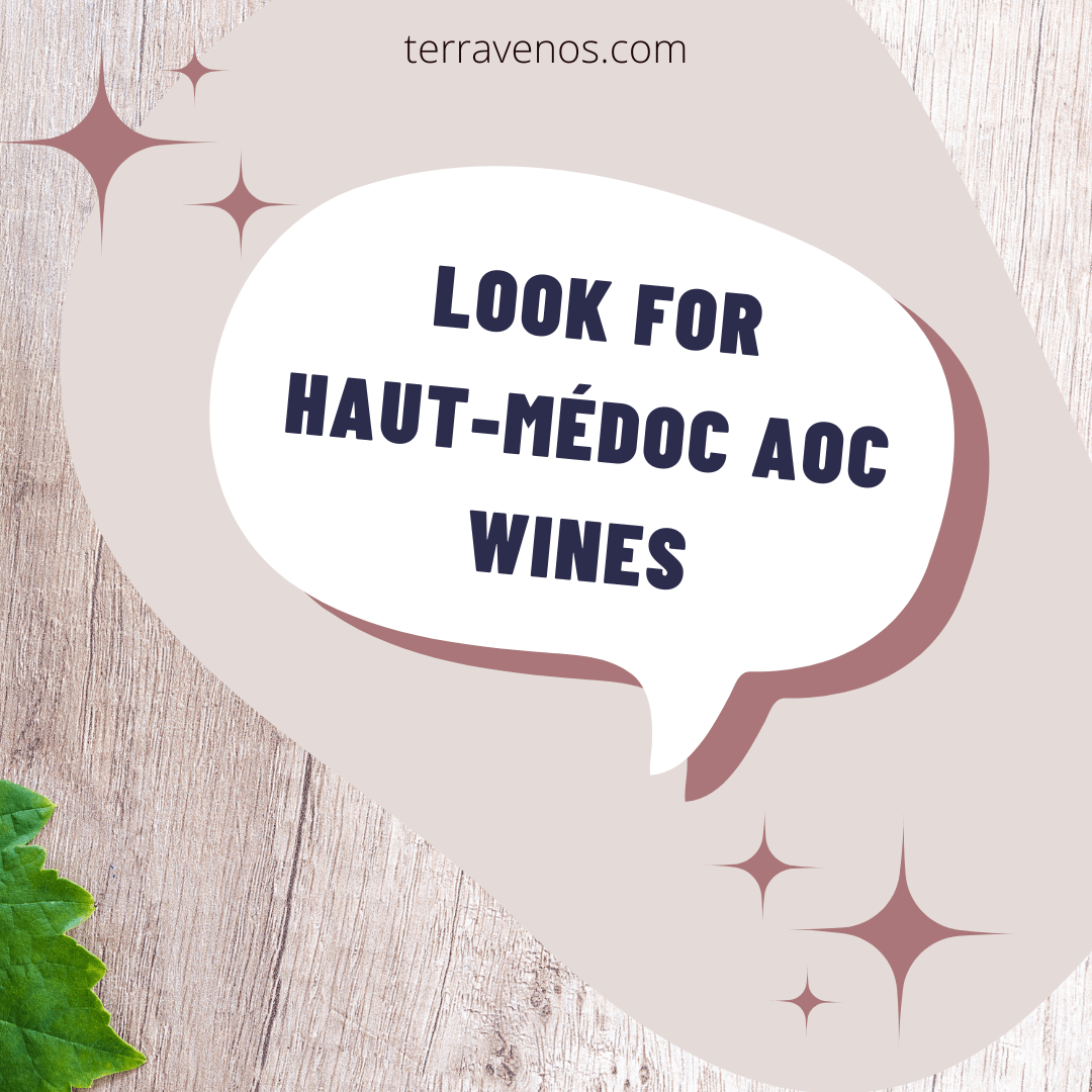 What Is Medoc Wine? — tèr·ra·ve·nos