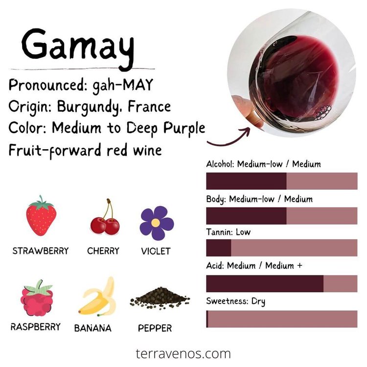 Light Red Wines — tèr·ra·ve·nos