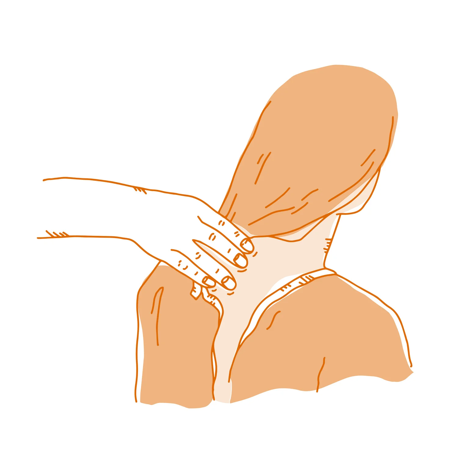 Gonstead Method — Trade Street Chiropractic