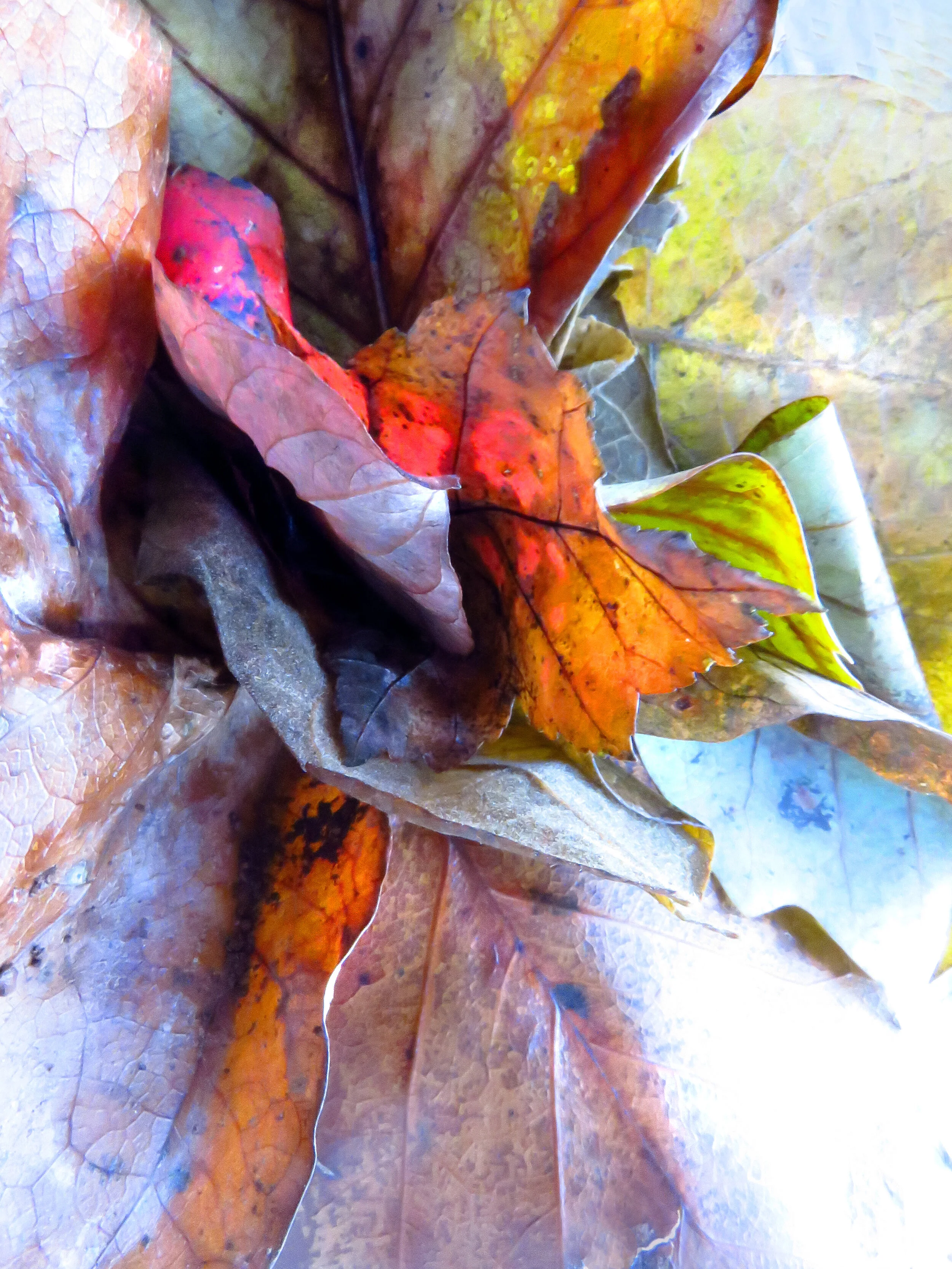 Photography — David Dolan