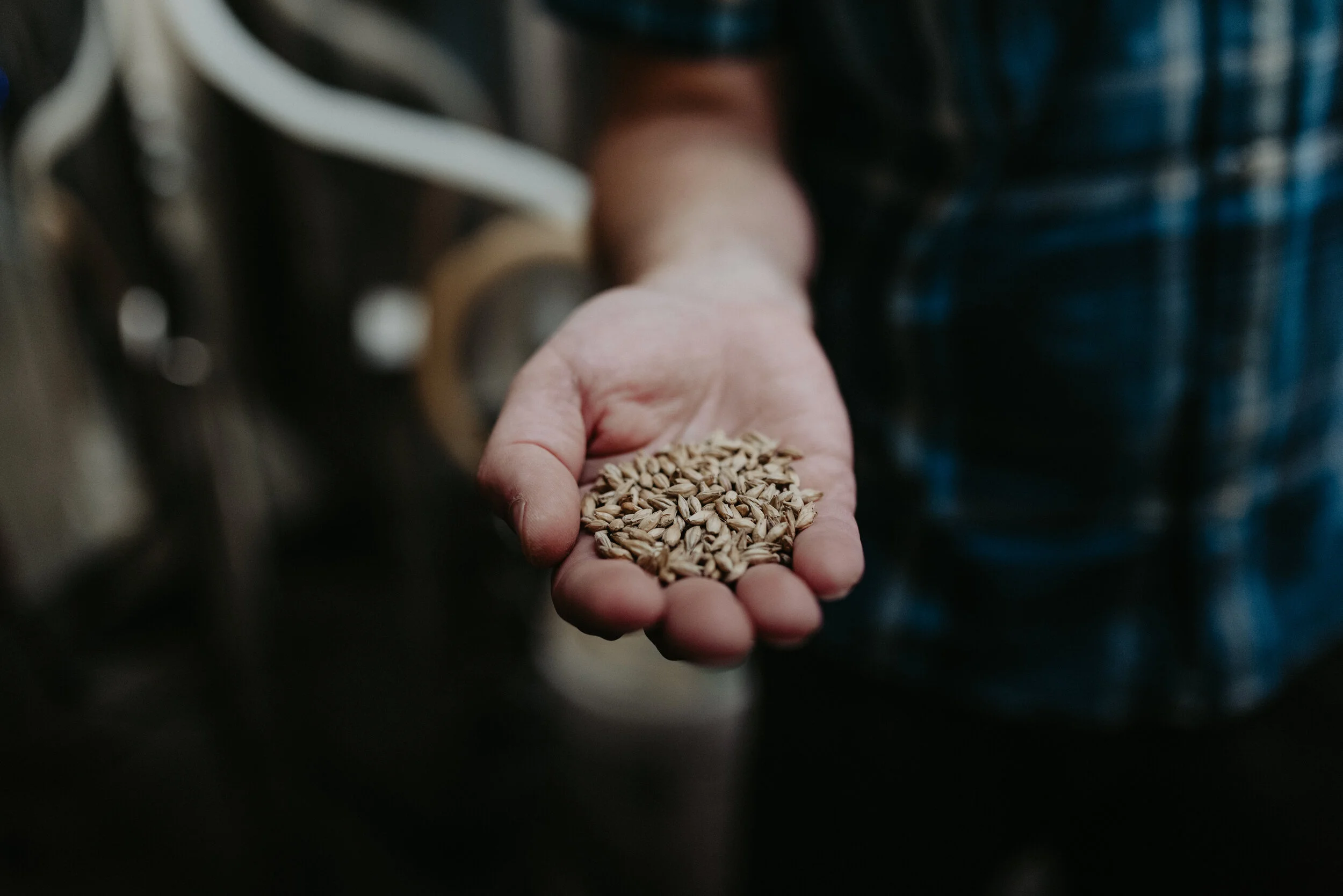 Mechanistic Brewing Co 