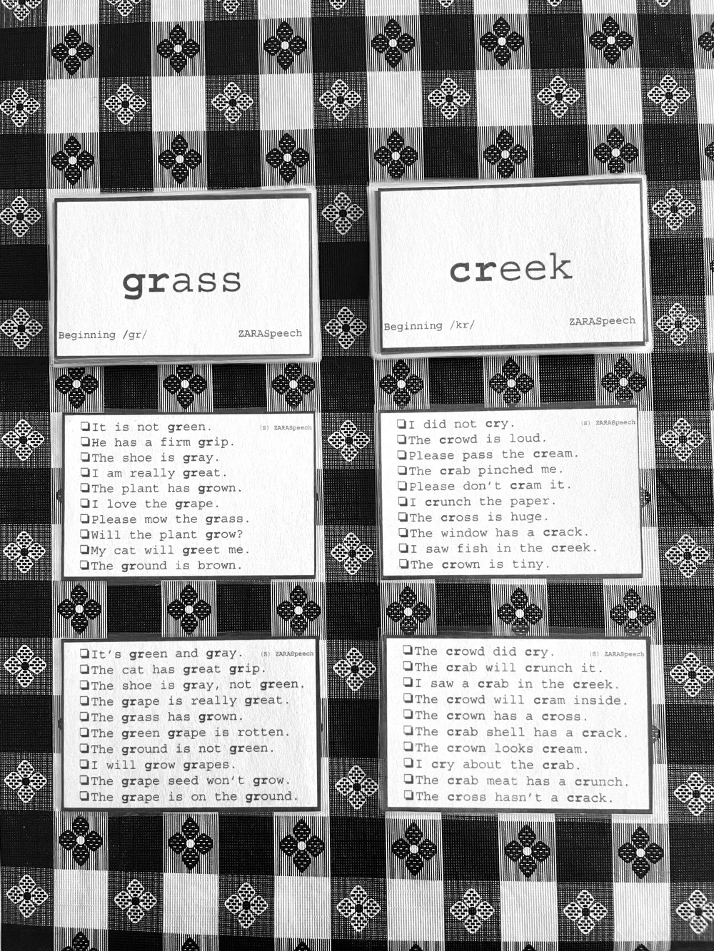 Quality SLP Apparel & Print Rich Speech Therapy