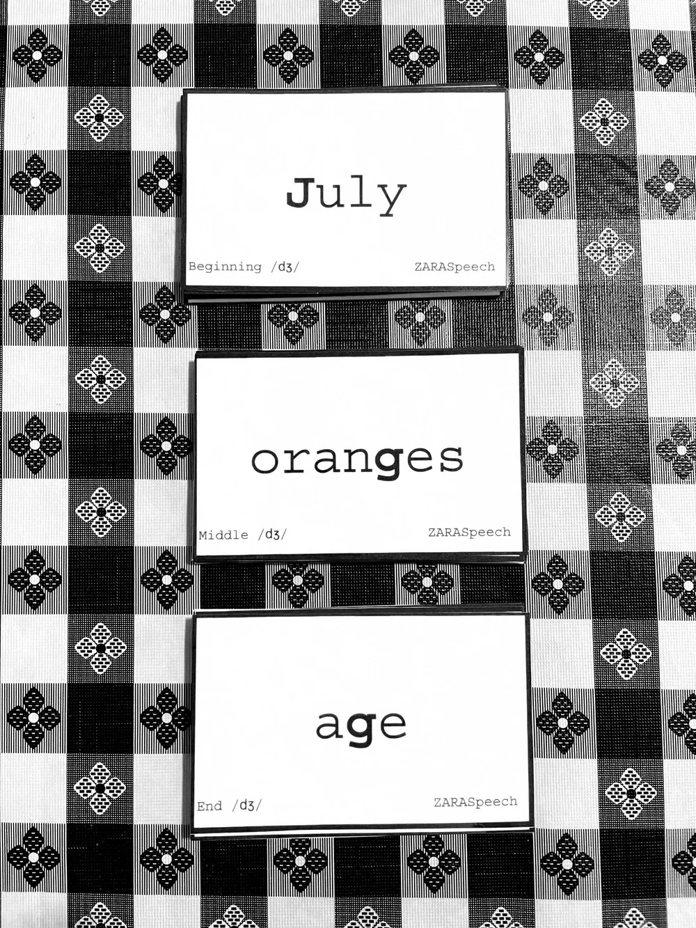 Quality SLP Apparel & Print Rich Speech Therapy