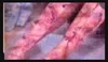 Episode 366: The Korean “Junko Furuta” Case - 26 Days Of Torture, SA ...