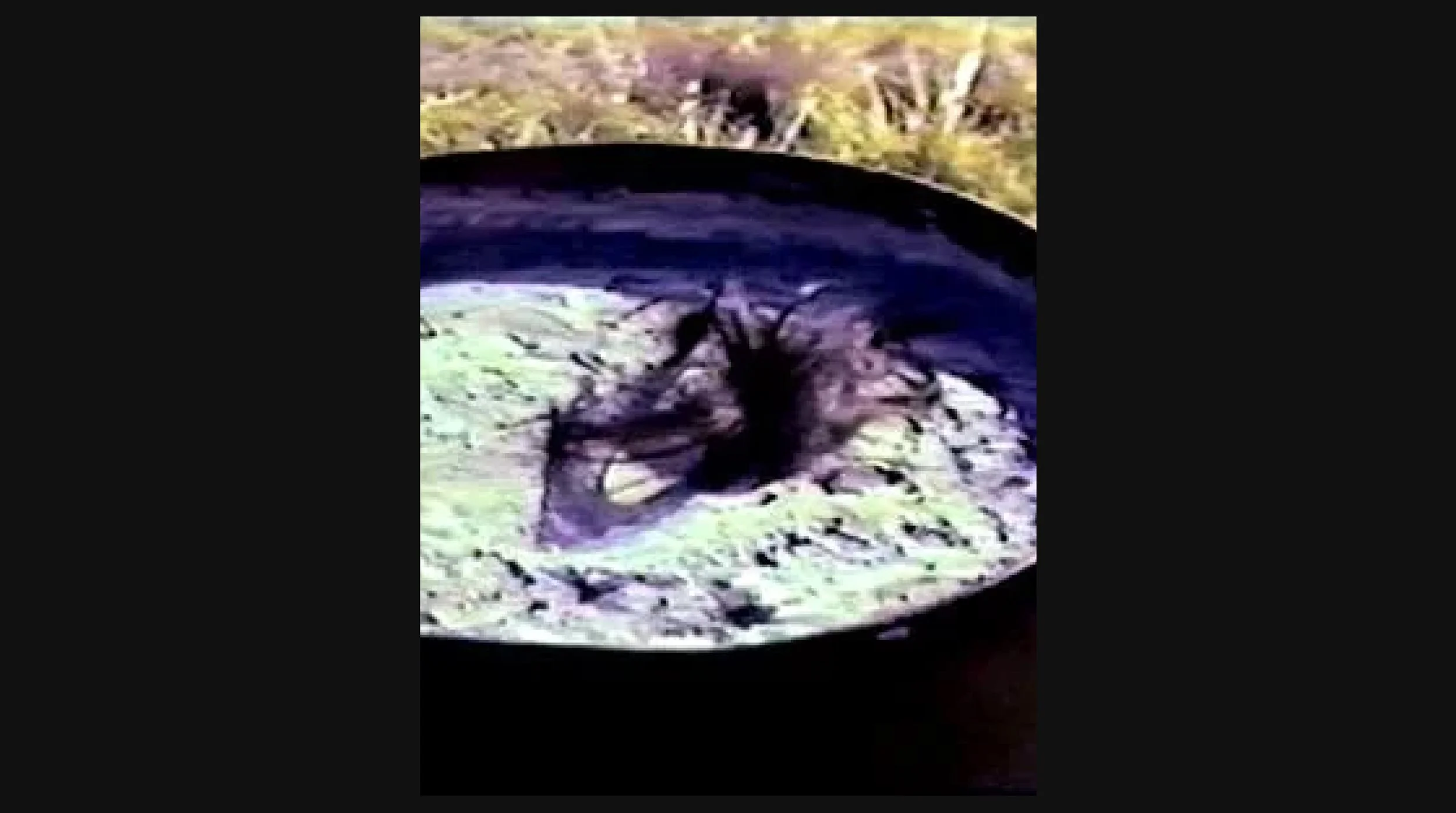 Episode 366: The Korean “Junko Furuta” Case - 26 Days Of Torture, SA ...