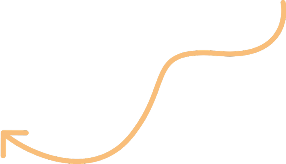 About — Rotten Mango