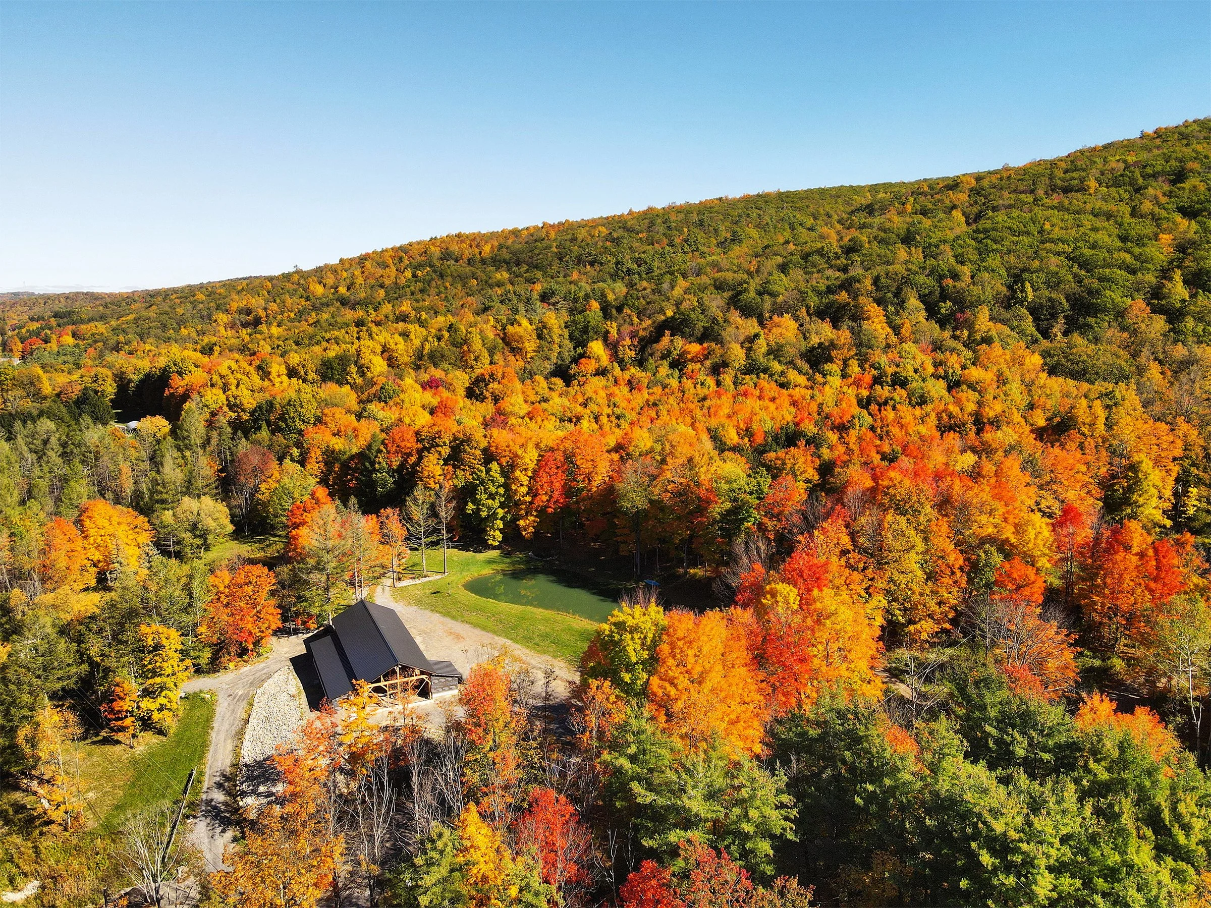 Timber Trails Forest Farm