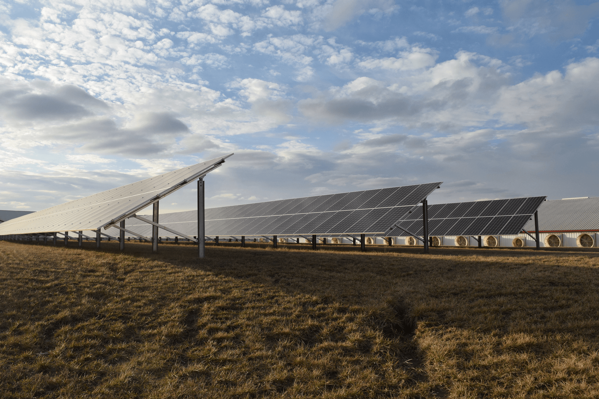About Our Farm — Lone Tree Farms Inc