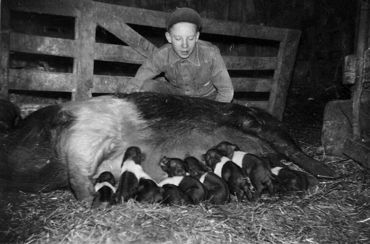 About Our Farm — Lone Tree Farms Inc