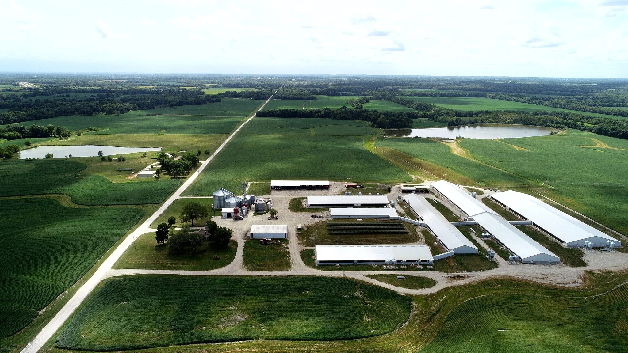 Lone Tree Farms Inc