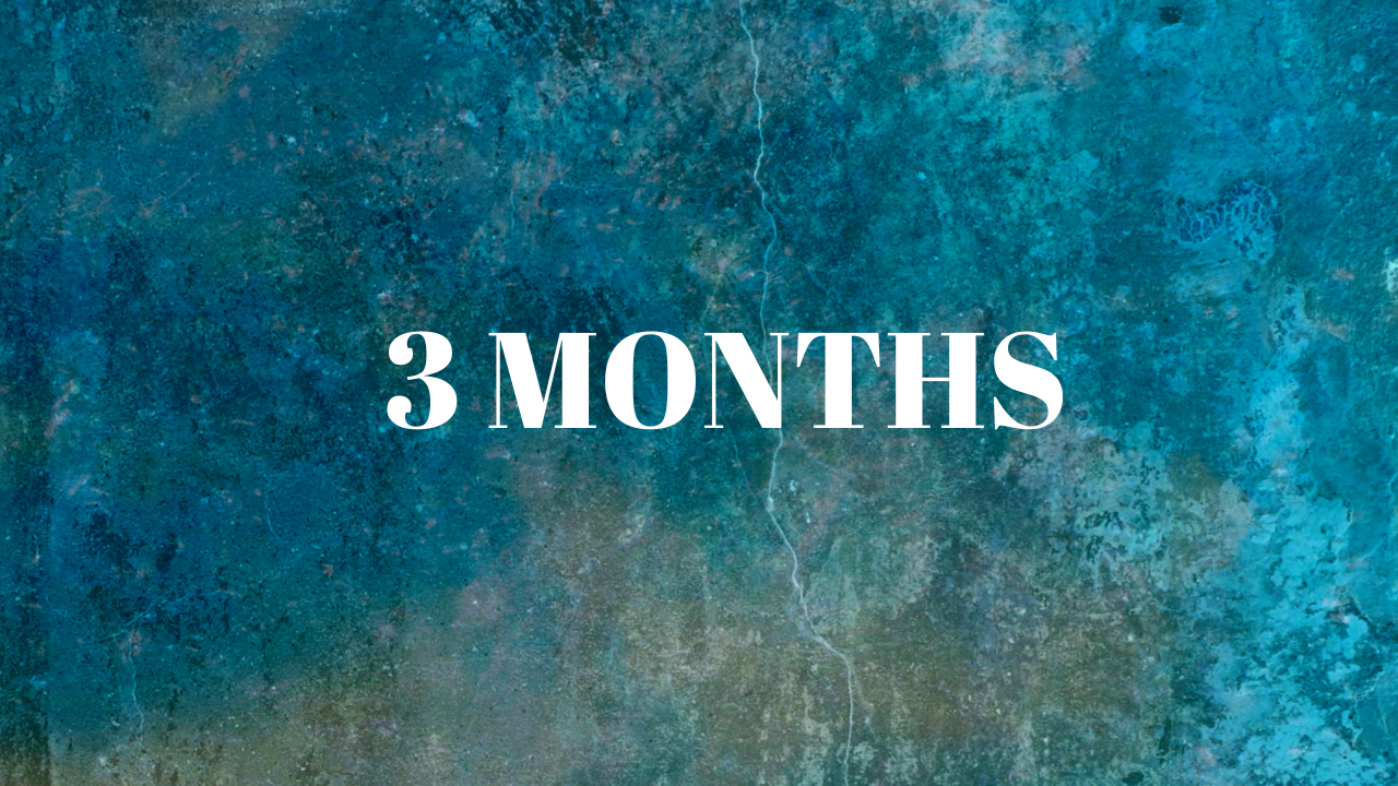 3 Months — Alex Cook Health