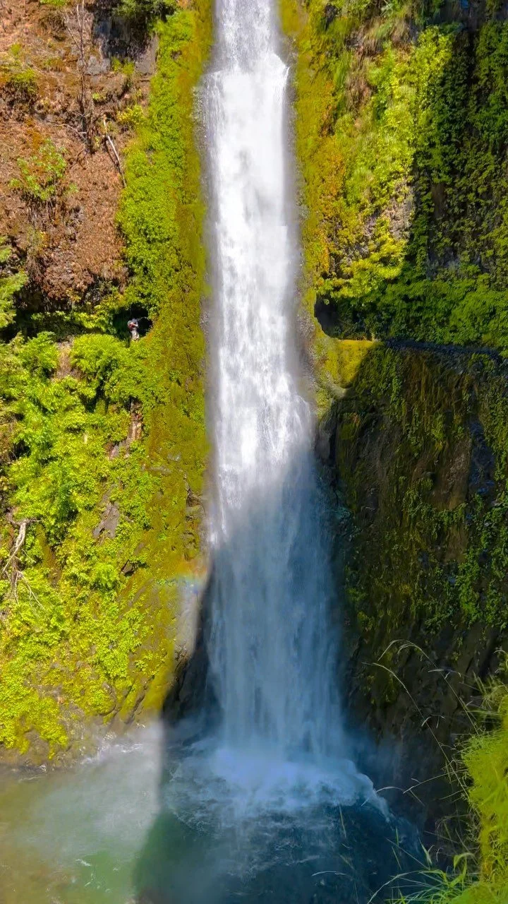 About Eric Hanson — ERIC HANSON . TV