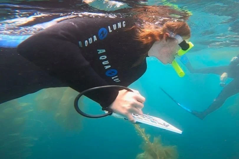 Science Snorkeling Programs — Bleu World