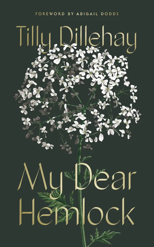 My Dear Hemlock by Tilly Dillehay- Book Review — Shelf Reflection (Book ...