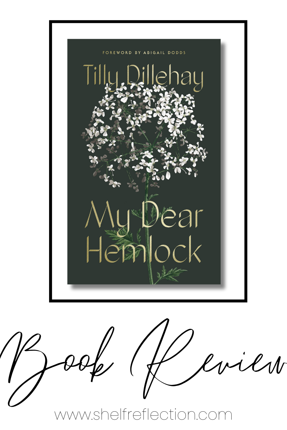 My Dear Hemlock by Tilly Dillehay- Book Review — Shelf Reflection (Book ...