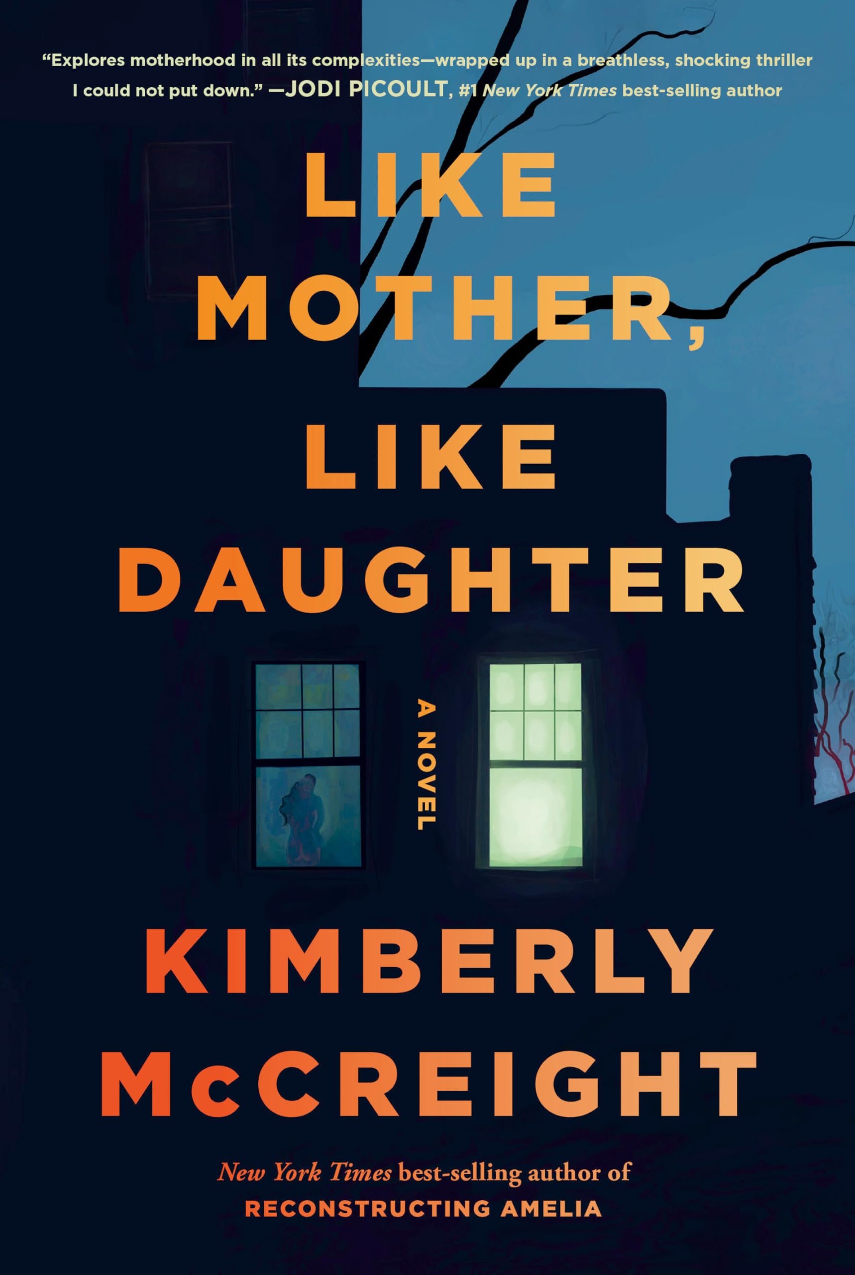Like Mother, Like Daughter by Kimberly McCreight- Book Review — Shelf ...