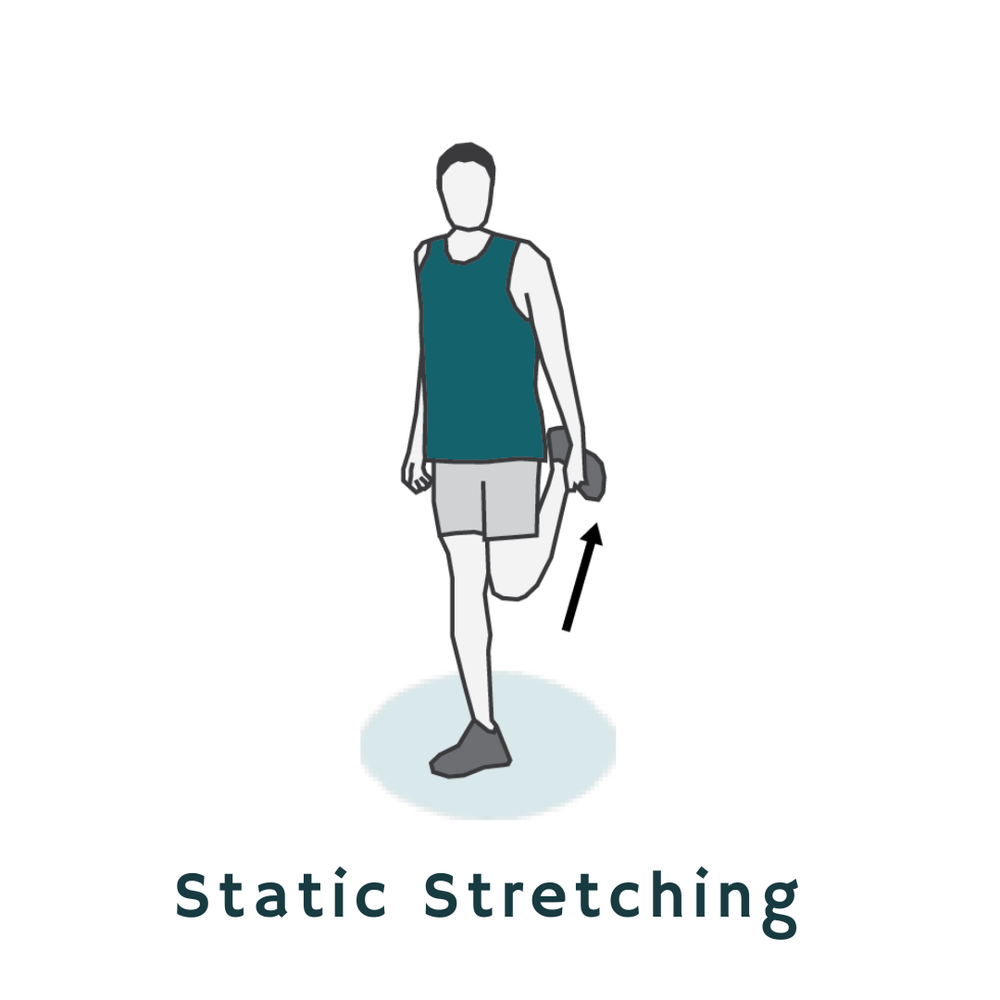 Static vs. Dynamic Stretching: Understanding the Differences and When to Use Them