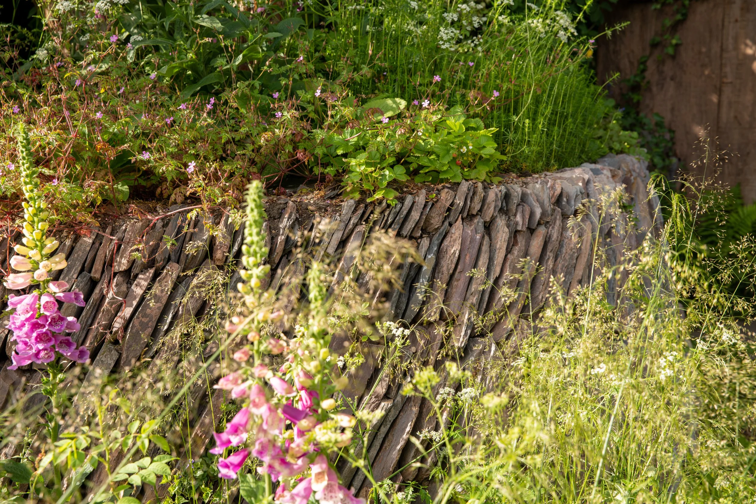 A Rewilding Britain Garden, Chelsea flower show 2022 — Allgreen