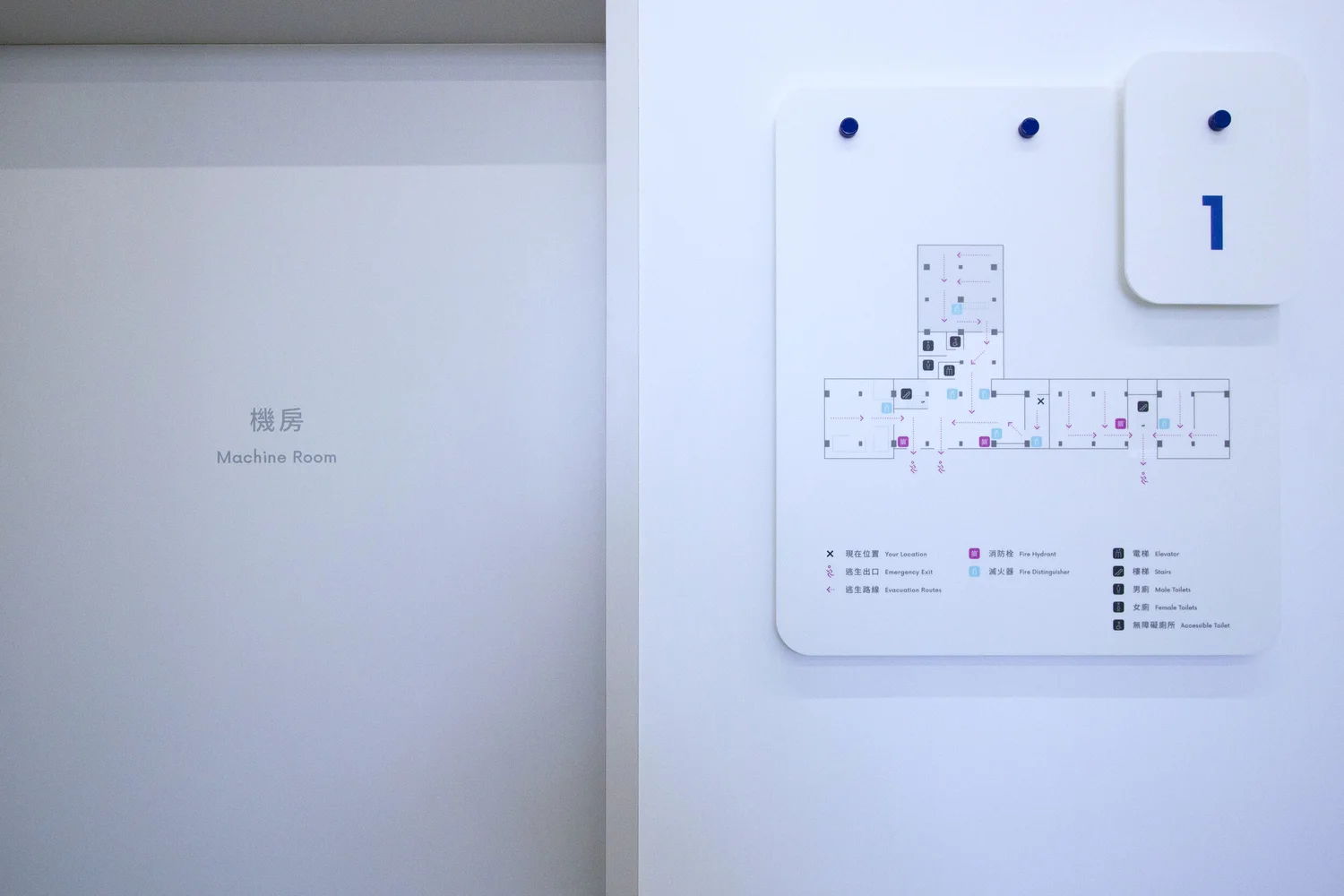 Path & Landforms —The Old Library of NCKU