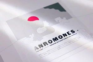 Path & Landforms — Exhibitions 展覽設計