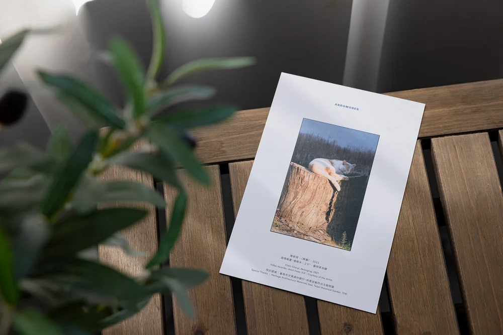 Path & Landforms —愛洛蒙－人與動物的後心靈樂園