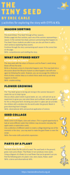 The Tiny Seed: 5 activities for exploring the story — West End in Schools