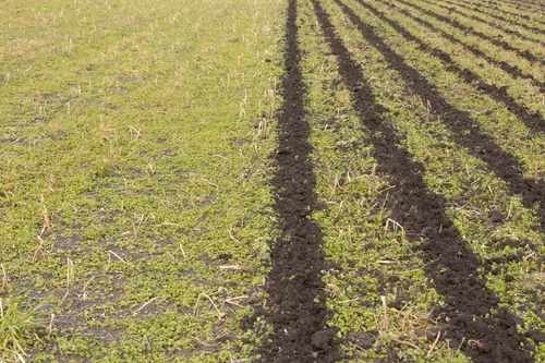 Strip Tillage Guide
