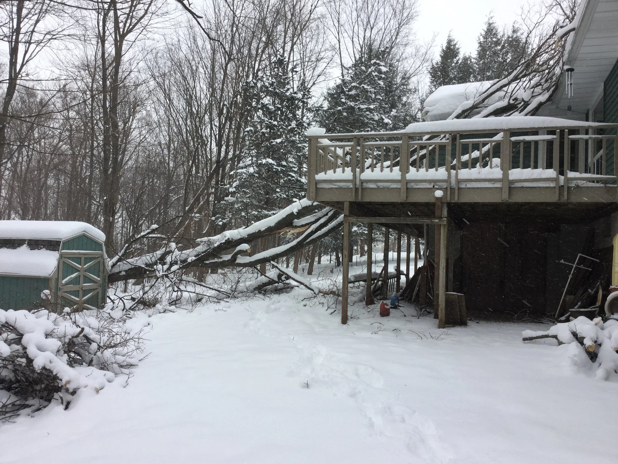 Gallery — Cayuga Tree Service, Inc.