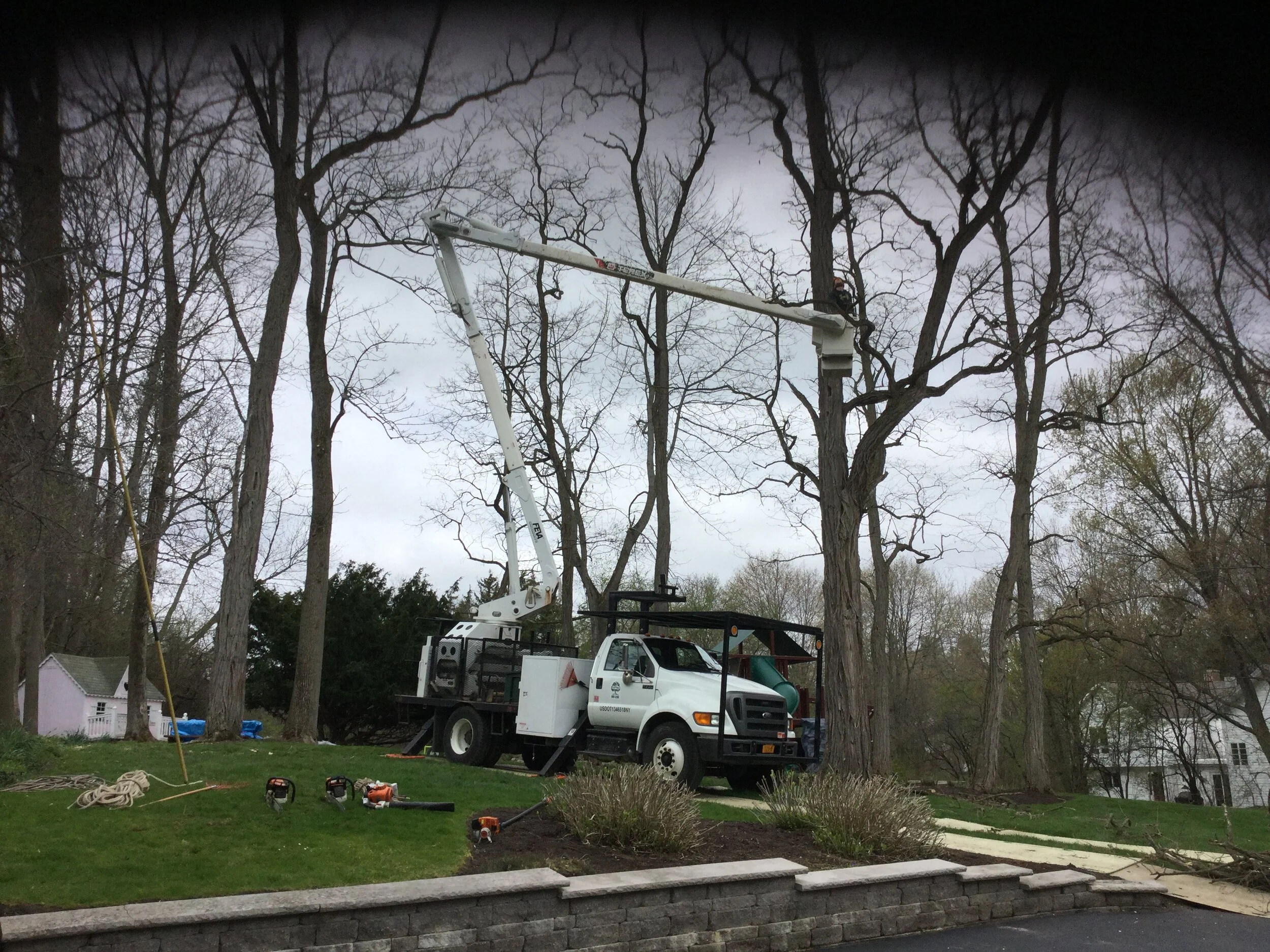 Gallery — Cayuga Tree Service, Inc.