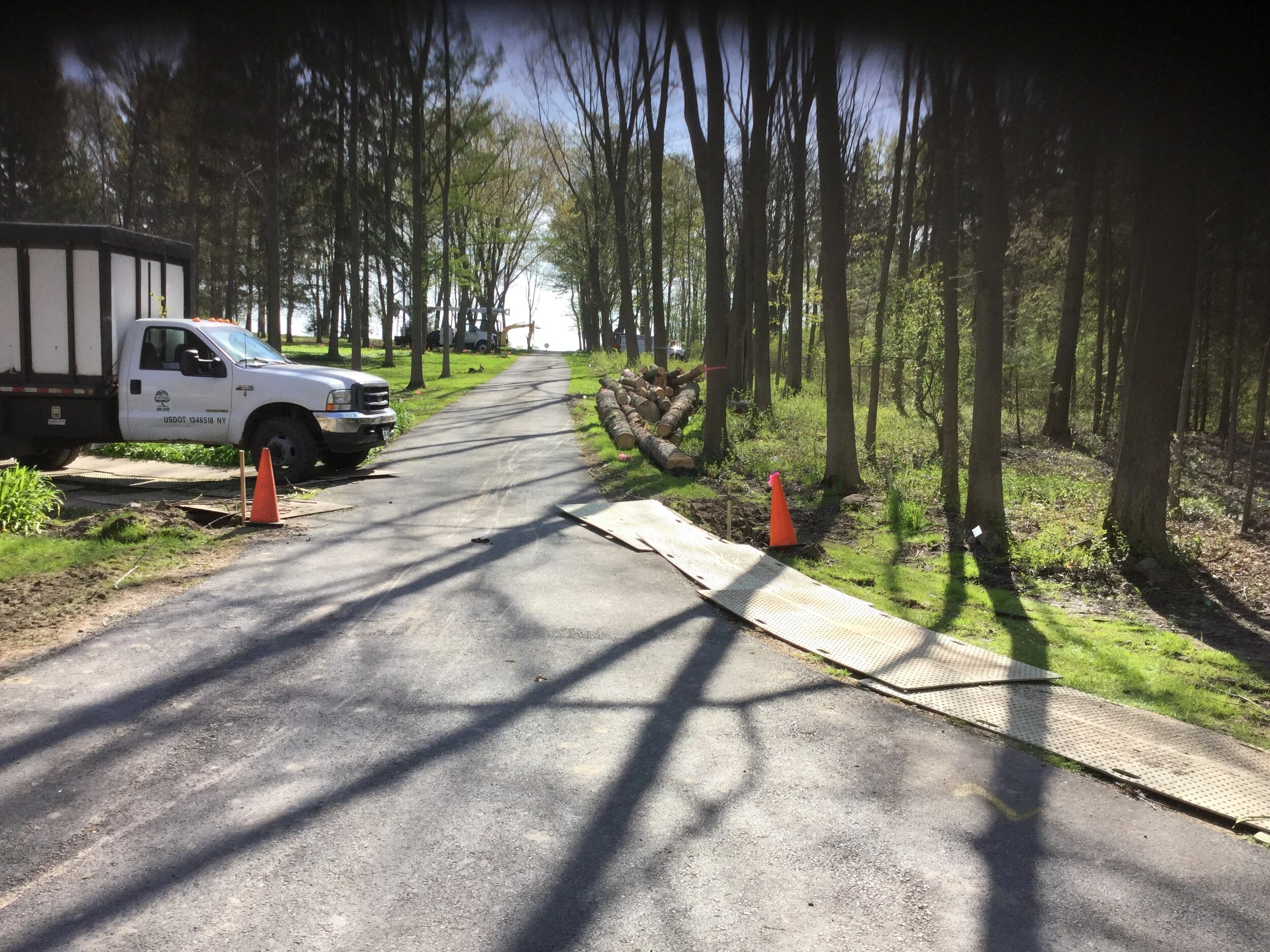 Gallery — Cayuga Tree Service, Inc.