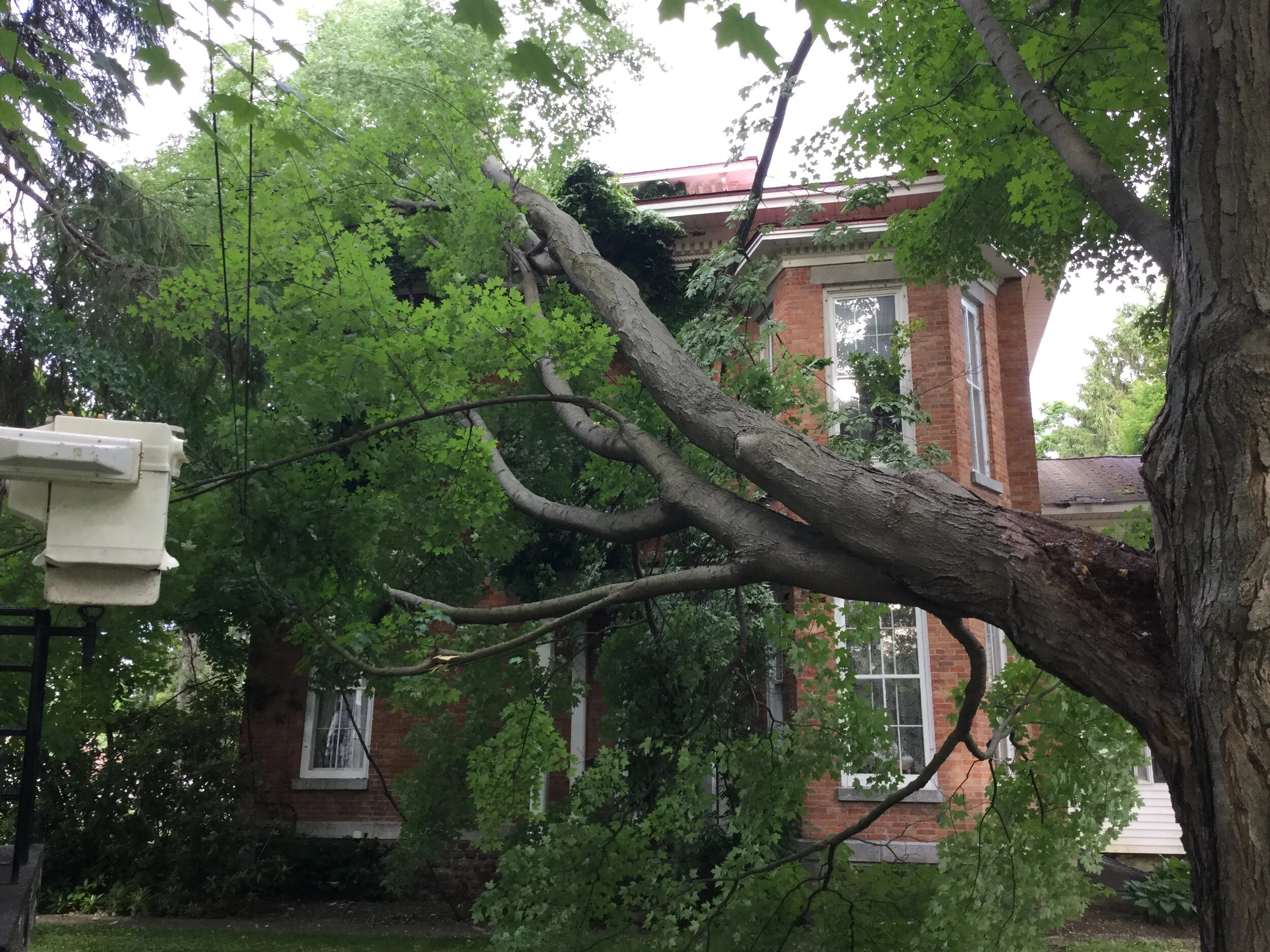 Gallery — Cayuga Tree Service, Inc.
