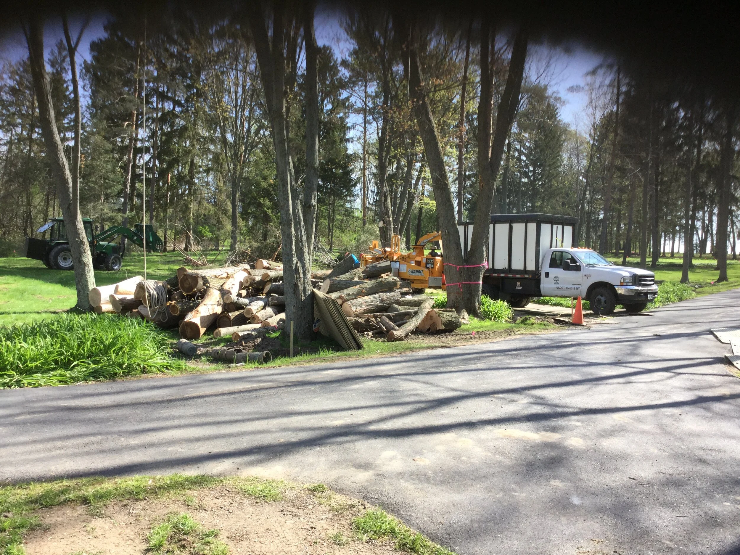 Gallery — Cayuga Tree Service, Inc.