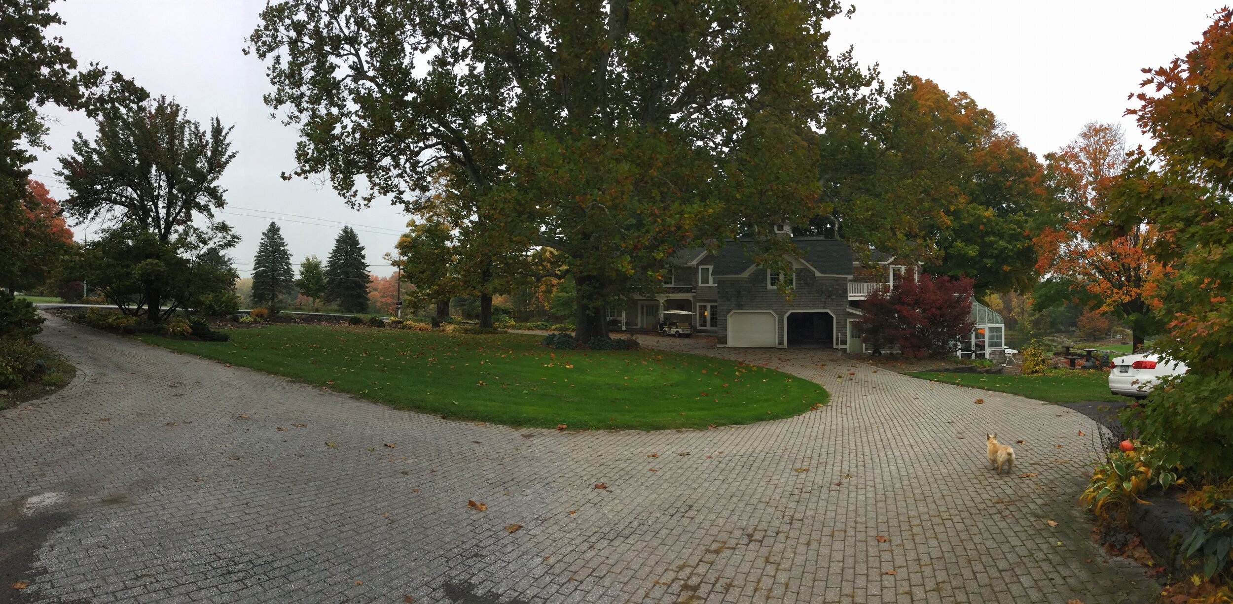 Gallery — Cayuga Tree Service, Inc.