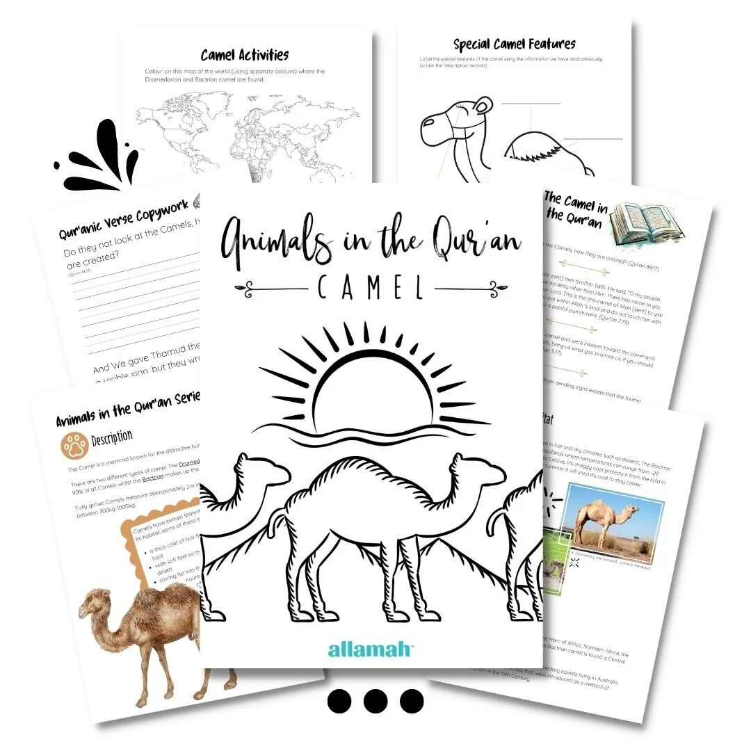 Free Printables — Allamah Education
