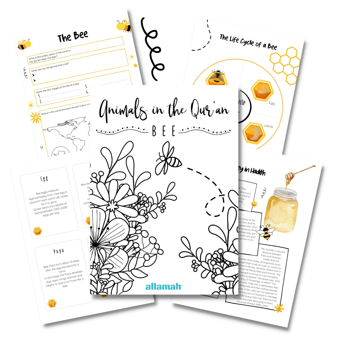 Animals in the Qur'an Series - Bee — Allamah Education
