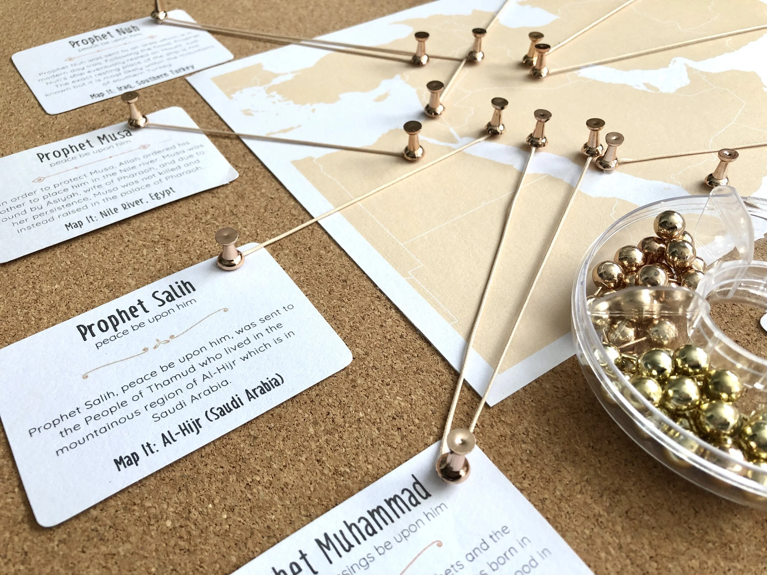 Shop — Allamah Education