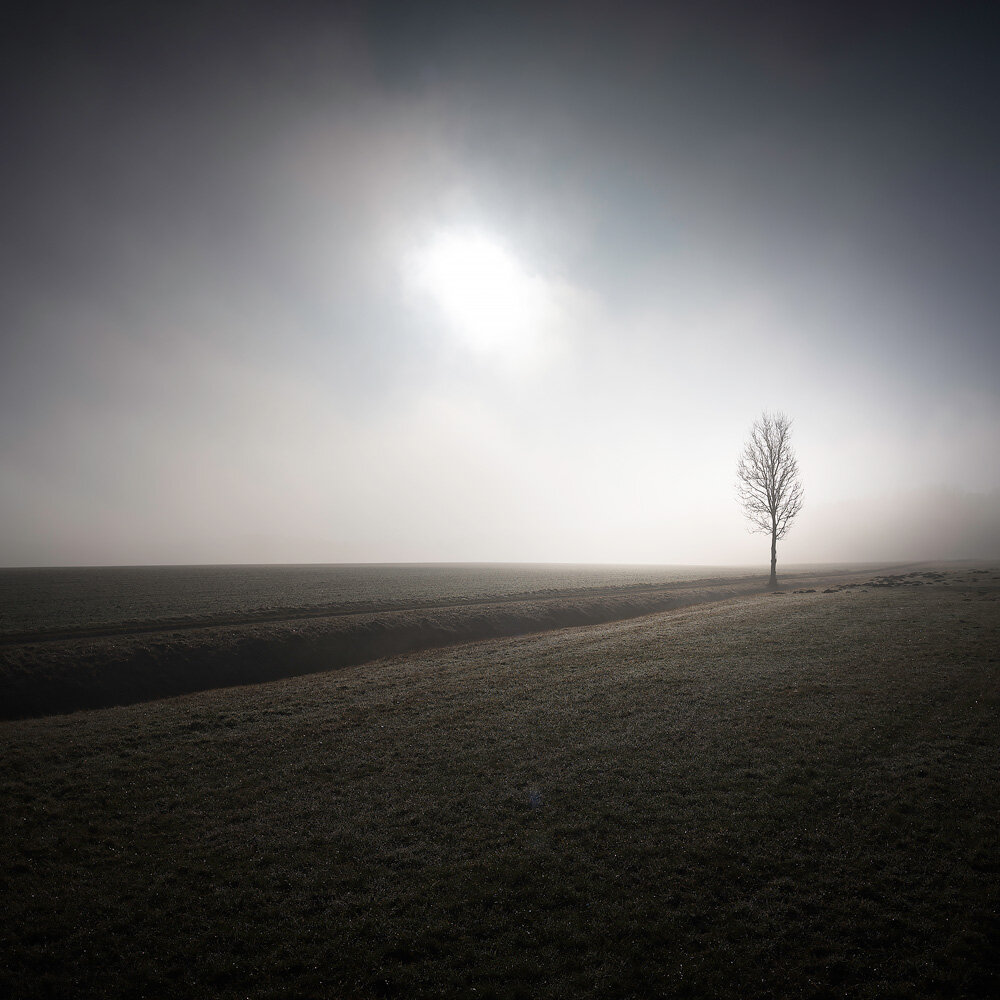 Alpine Simplicity - Landscape Photography