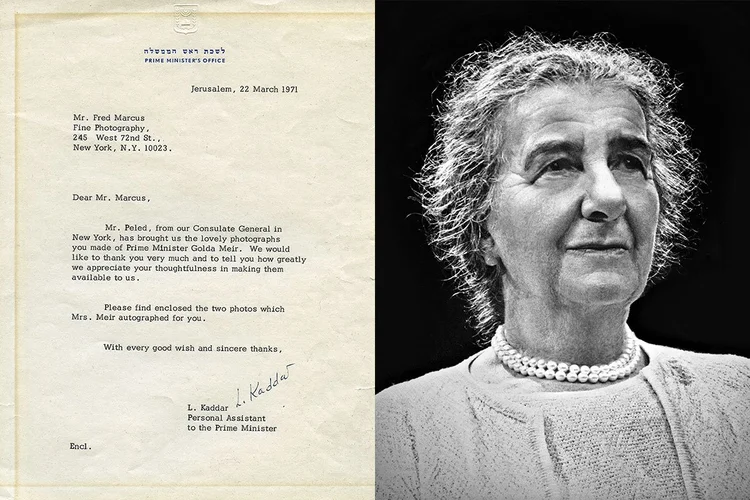 About — Fred Marcus Studio