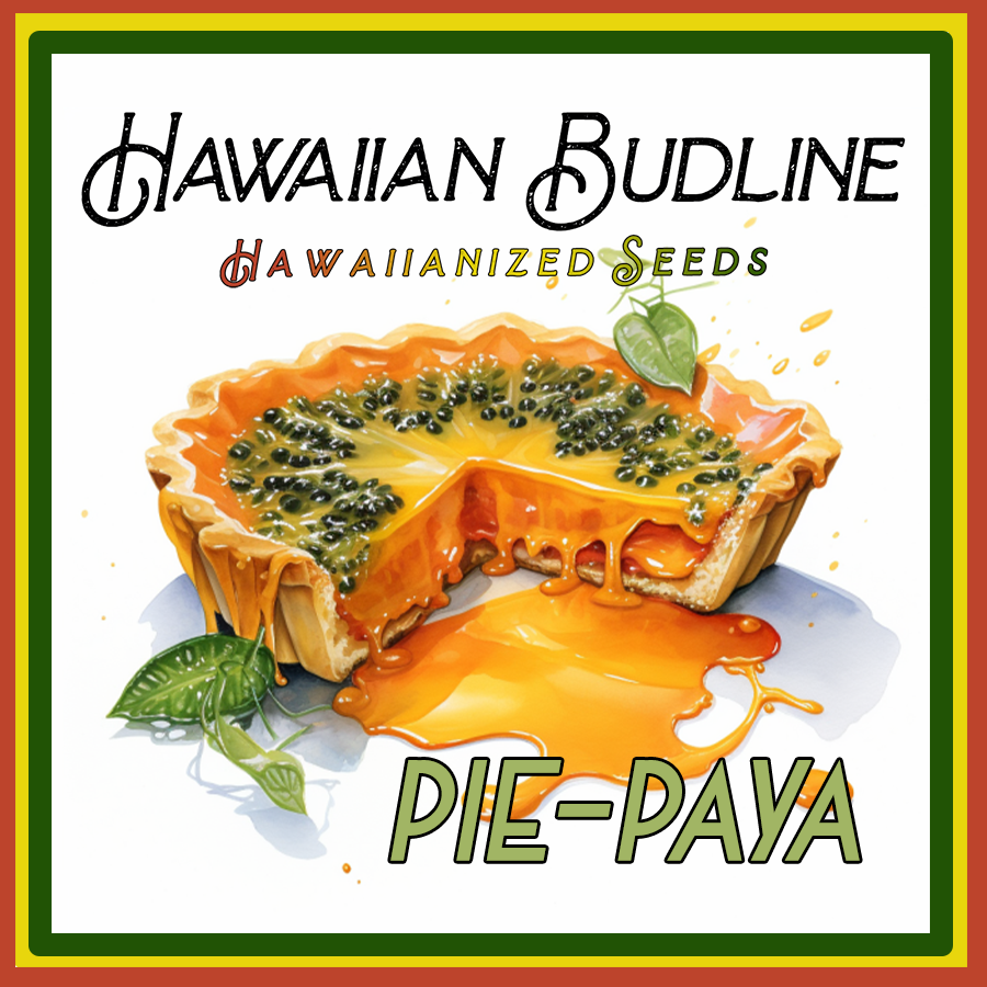 Seed Store — Hawaiian Budline
