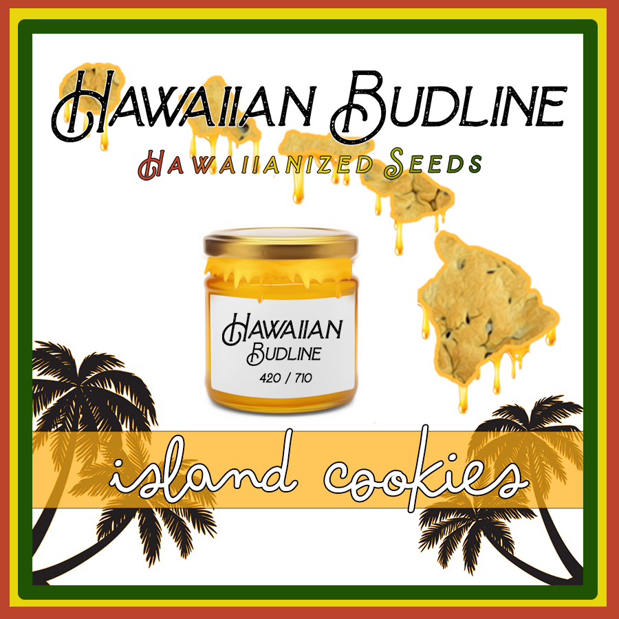 Hawaiian Budline