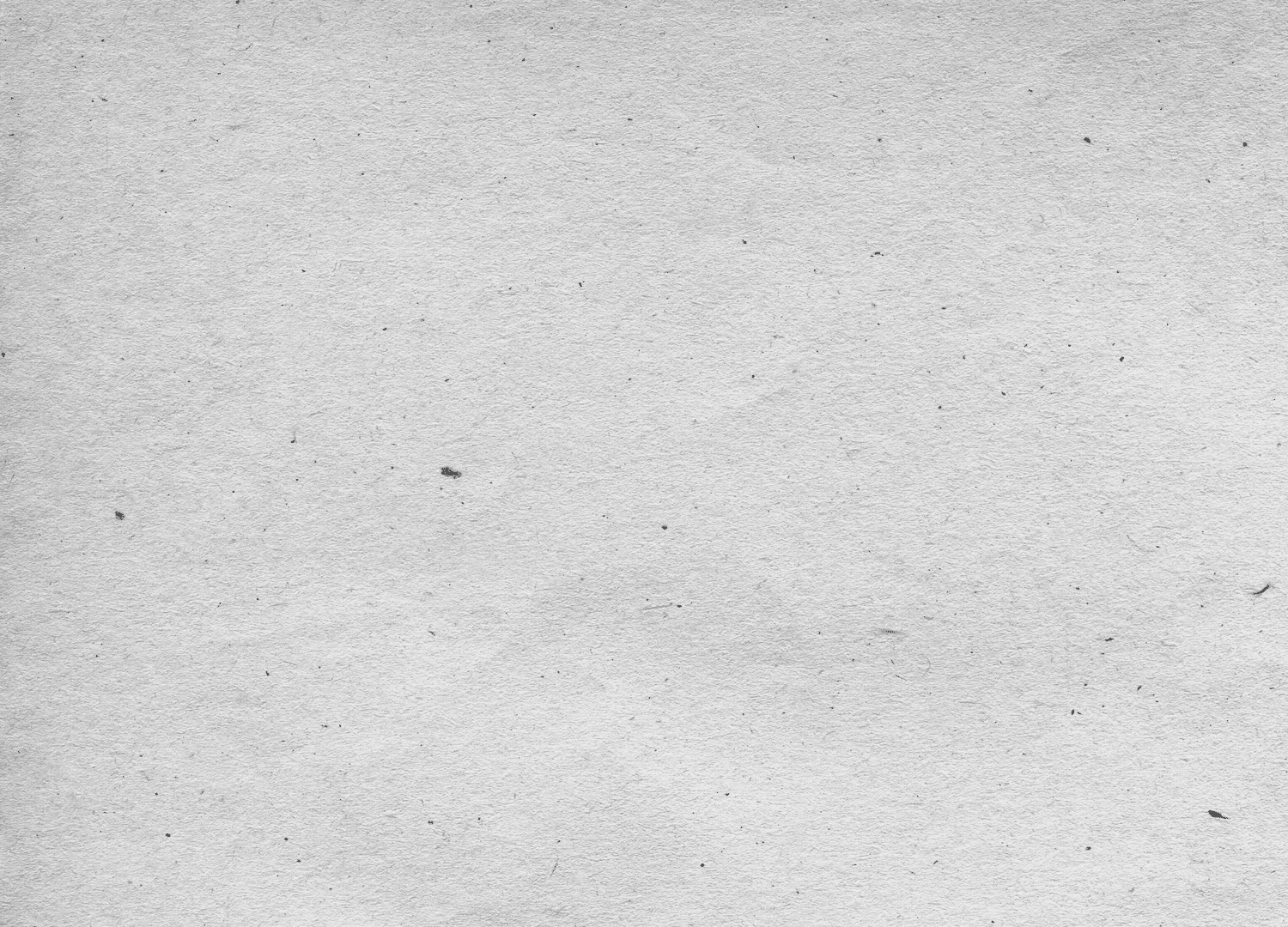 Jordan Lang Co. | Online Support for Conscious Business