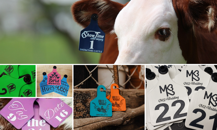 Ear Tags By Design