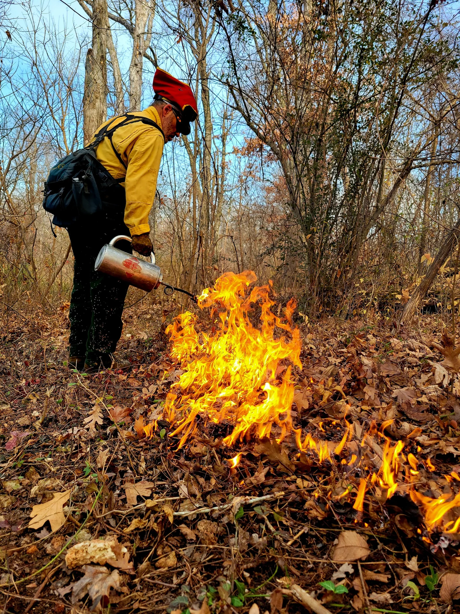 Turn up the Heat! Benefits of Prescribed Burns — Illinois River ...