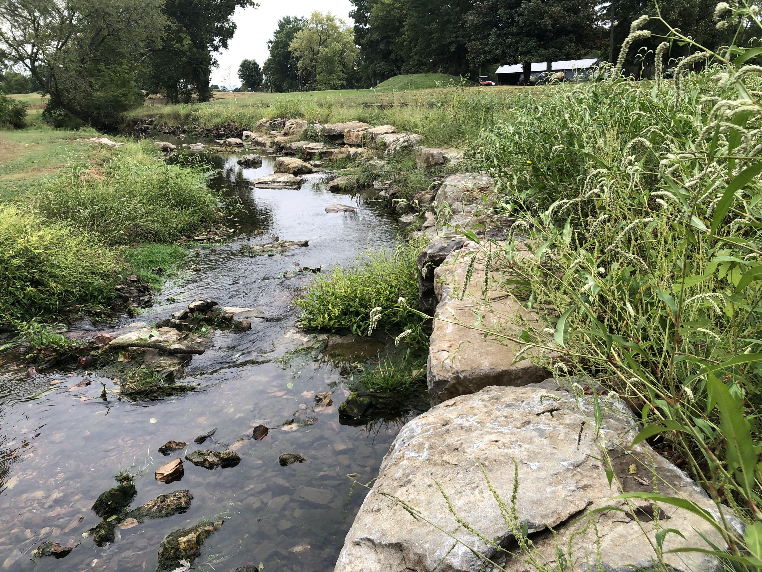 Streambank Erosion and Restoration — Illinois River Watershed Partnership
